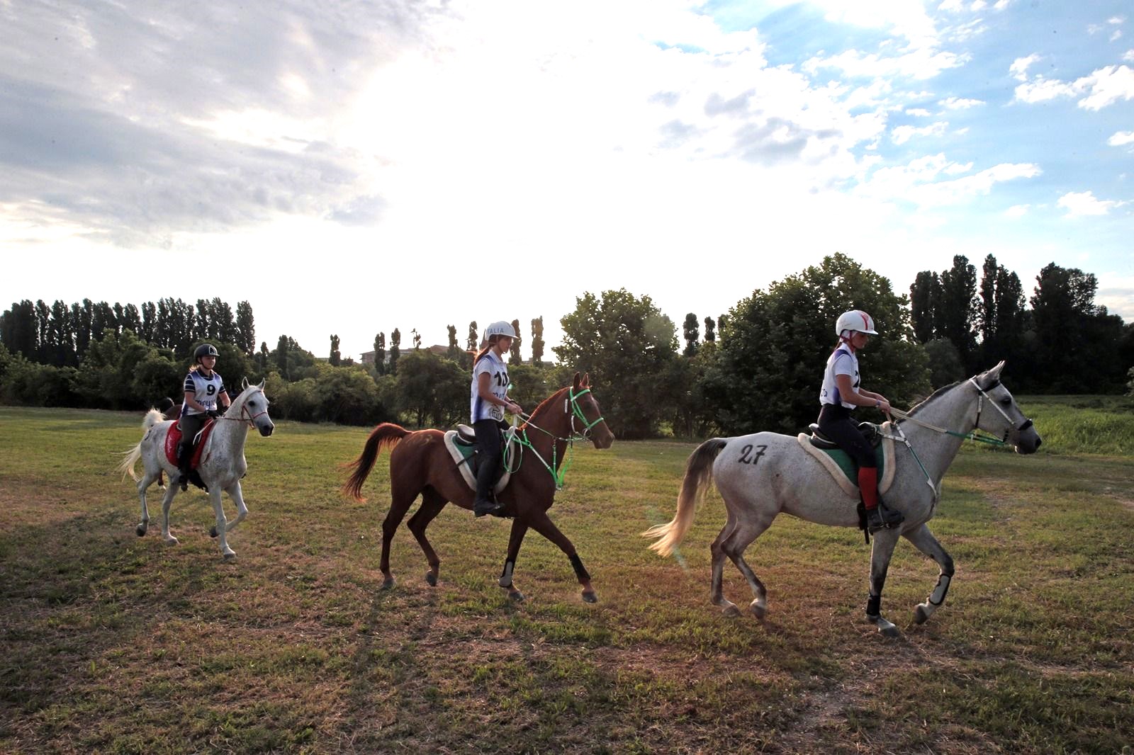 Mondiale di endurance, i cavalli in gara correranno a Isola della Scala ...